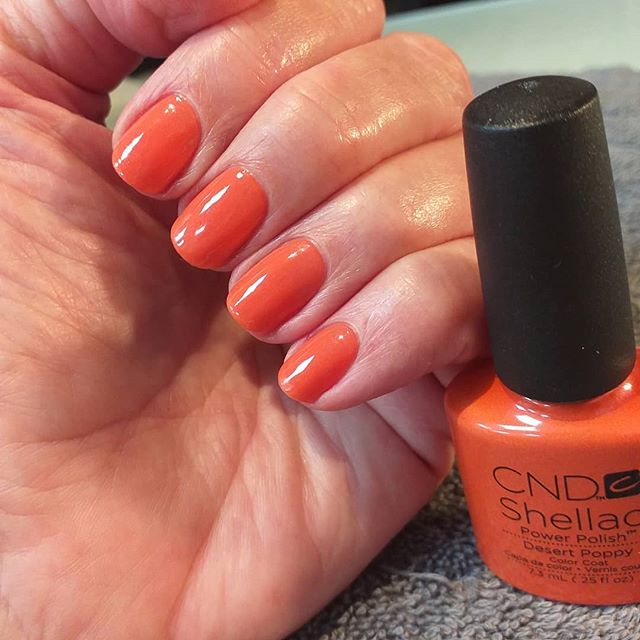 Shellac Desert Poppy-לק ג'ל היפואלרגני בצבע כתום מנצנץ אטום | שילאק קריאה אחרונה | חנות מוצרי ...