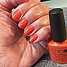 Shellac Desert Poppy-לק ג'ל היפואלרגני בצבע כתום מנצנץ אטום | שילאק קריאה אחרונה | חנות מוצרי ...
