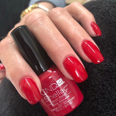 Shellac Rose Brocade לק ג'ל היפואלרגני בצבע אדום ורדרד אטום | לק ג'ל ...