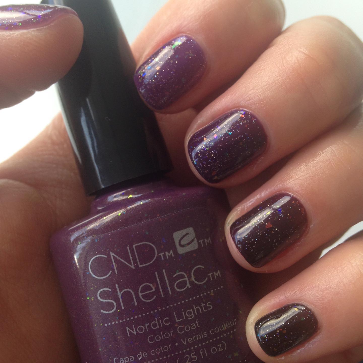 Shellac Nordic Lights לק ג'ל היפואלרגני בצבע סגול כהה מנצנץ חצי שקוף ...